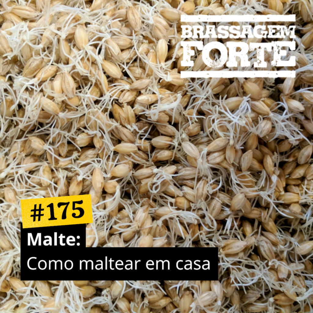 #175 – Malte: Como maltear em casa – Brassagem Forte